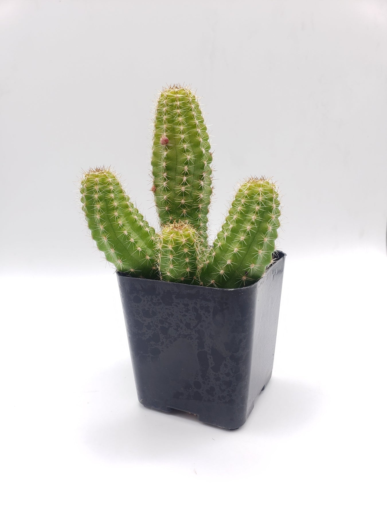 Products – Page 2