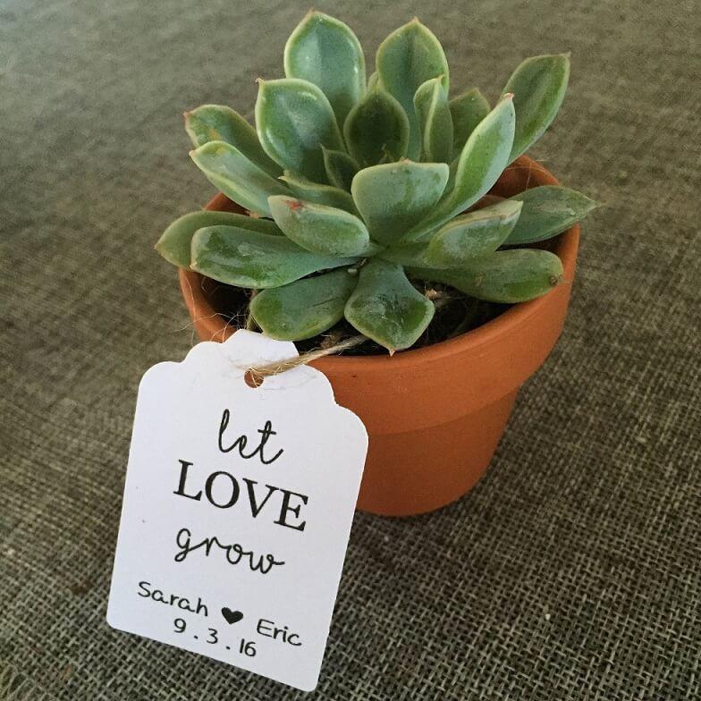20 Pack - Custom Hanging Favor Tags for Succulents