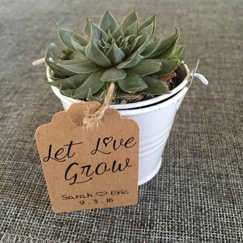 20 Pack - Custom Hanging Favor Tags for Succulents