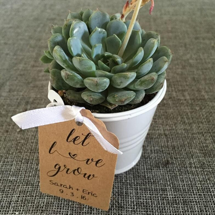 20 Pack - Custom Hanging Favor Tags for Succulents