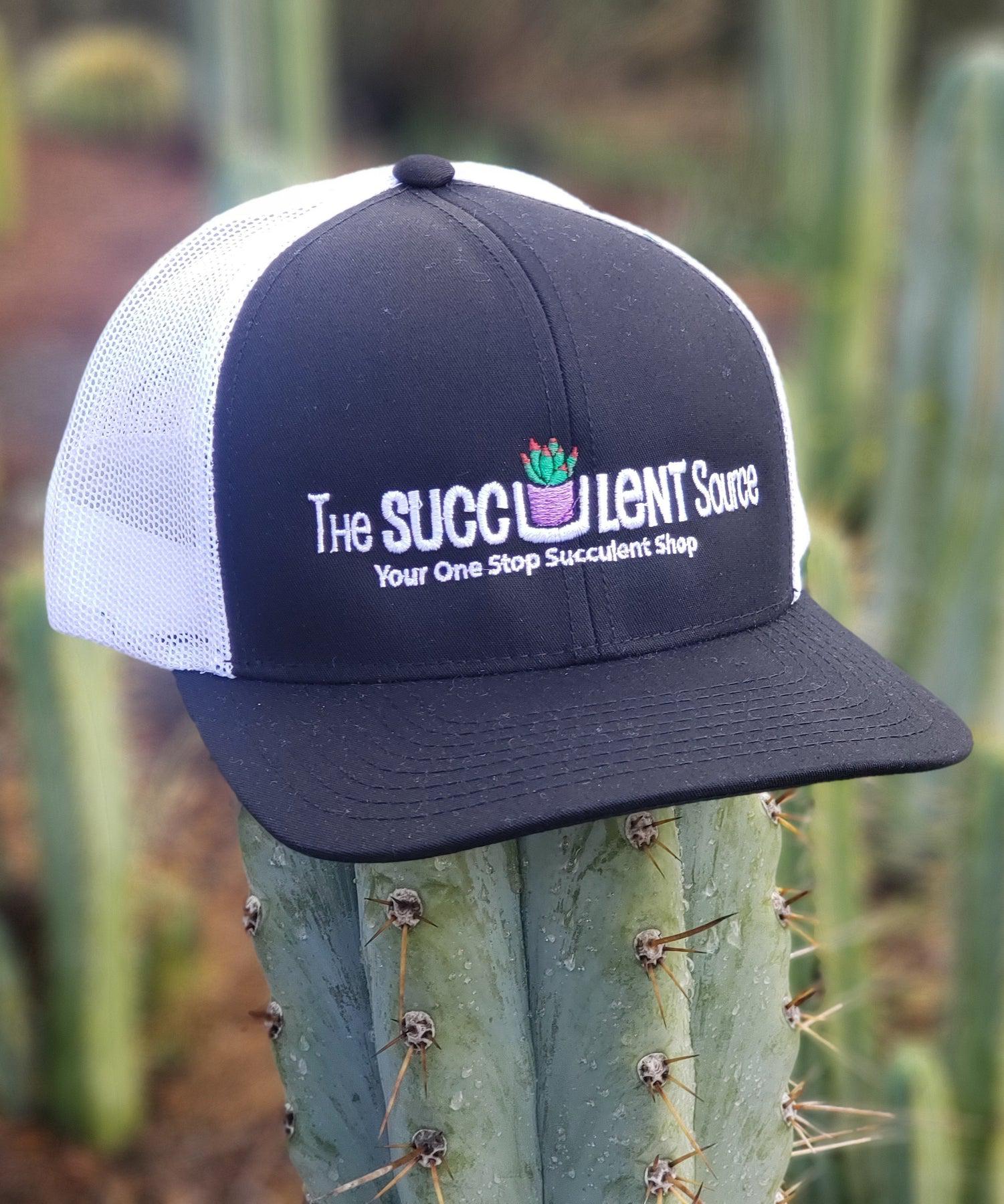 Hats - The Succulent Source